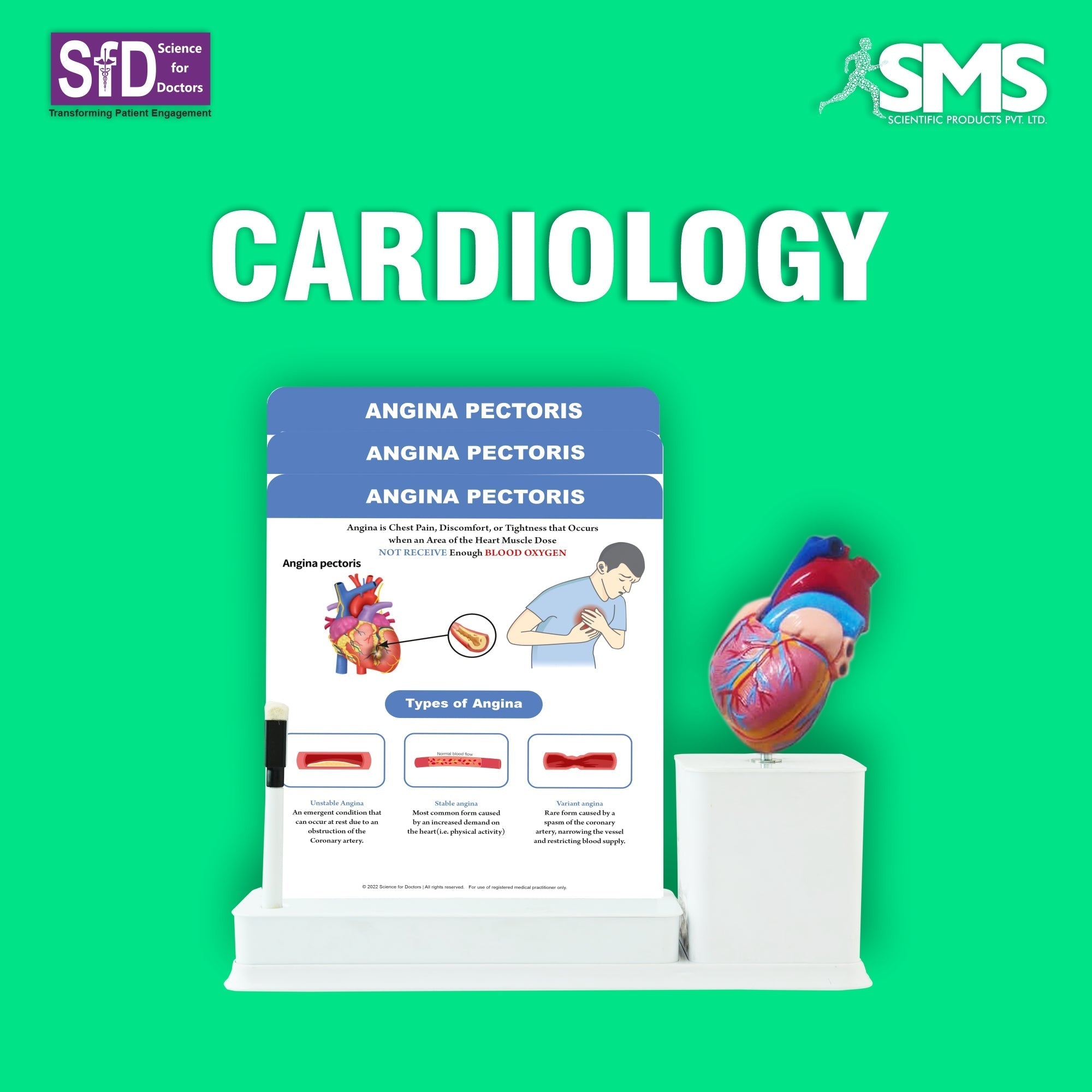 CARDIOLOGY – SMS Scientific Products Pvt. Ltd.