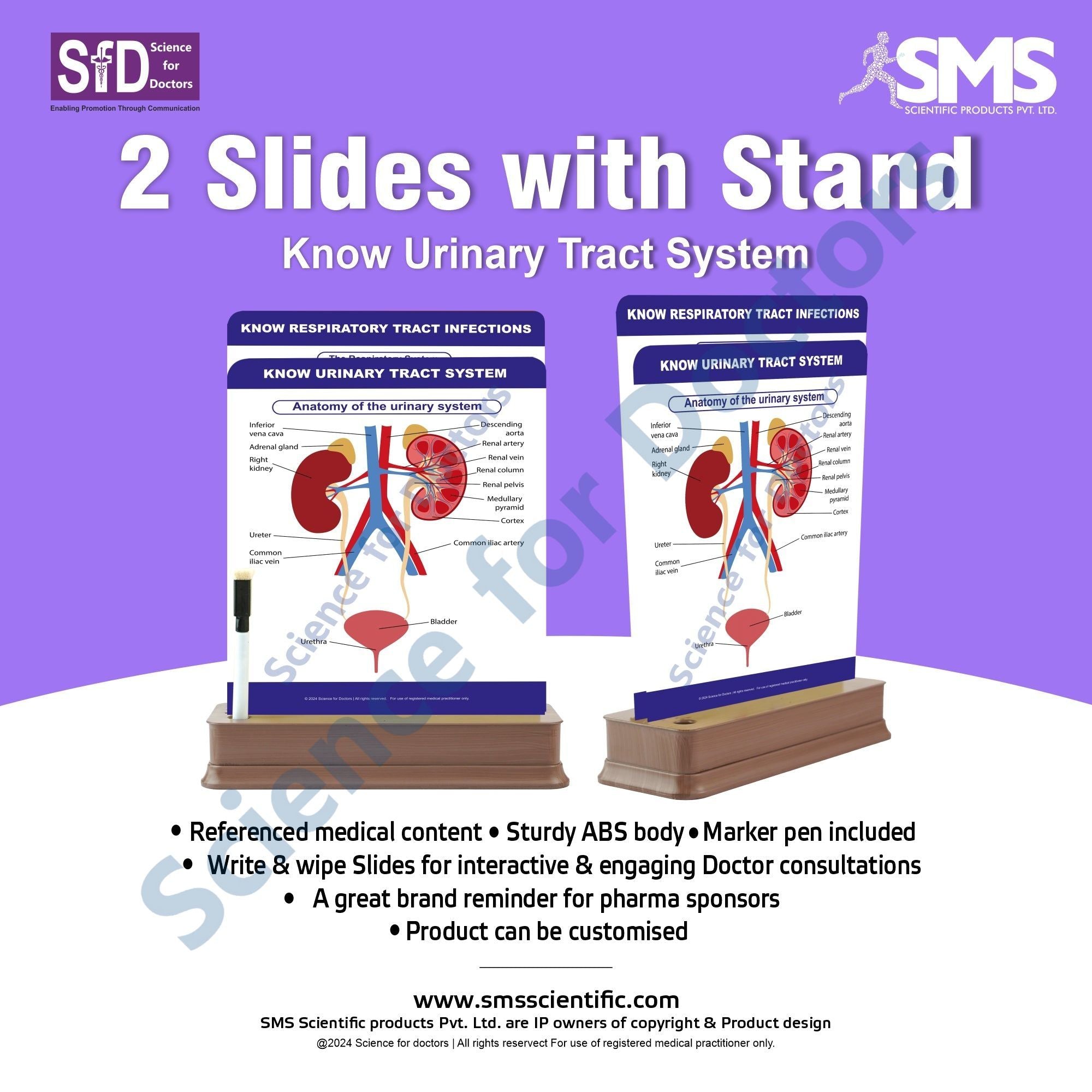 Know Urinary Tract System: 2 Slides on stand – Science For Doctors