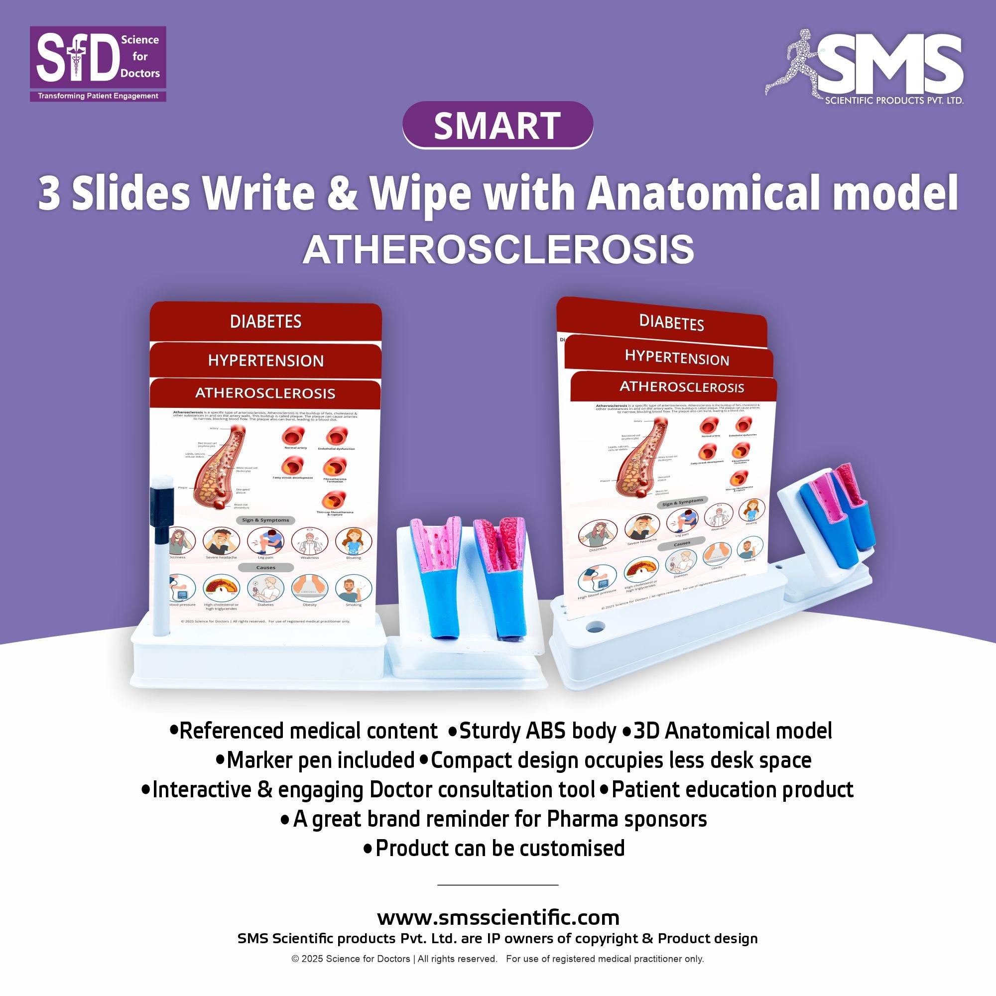 Atherosclerosis: Smart -3 Slides Write & Wipe With Anatomical Model ...
